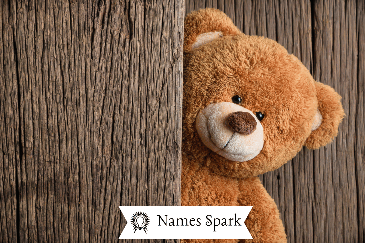 300+ Cute & Catchy Teddy Bear Names For Your Lovely Bear