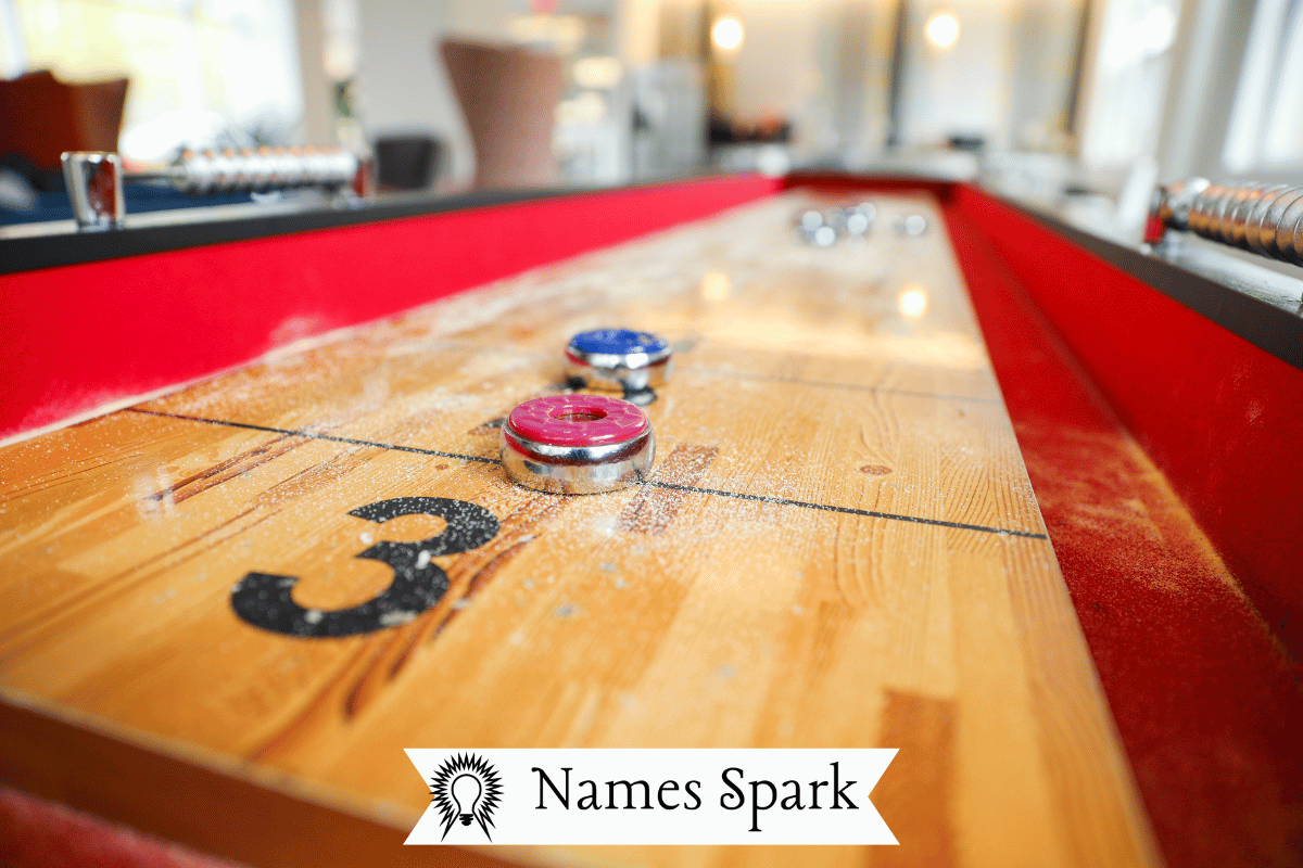 250+ Cute & Funny Shuffleboard Team Names For Your Squad