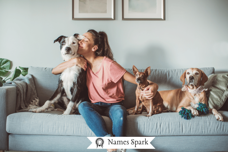 300+ Cute And Catchy Pet Names With Meaning
