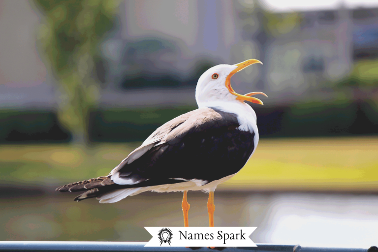 280 Cute And Funny Seagull Names With Meaning