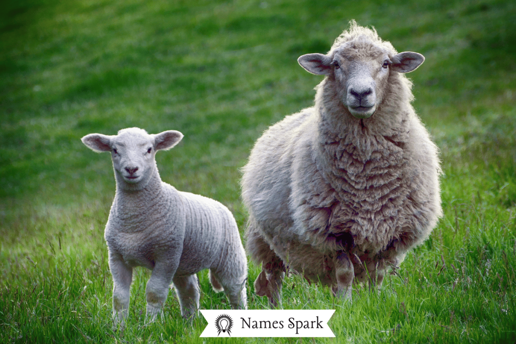 280+ Cute And Funny Mouse Names With Meaning