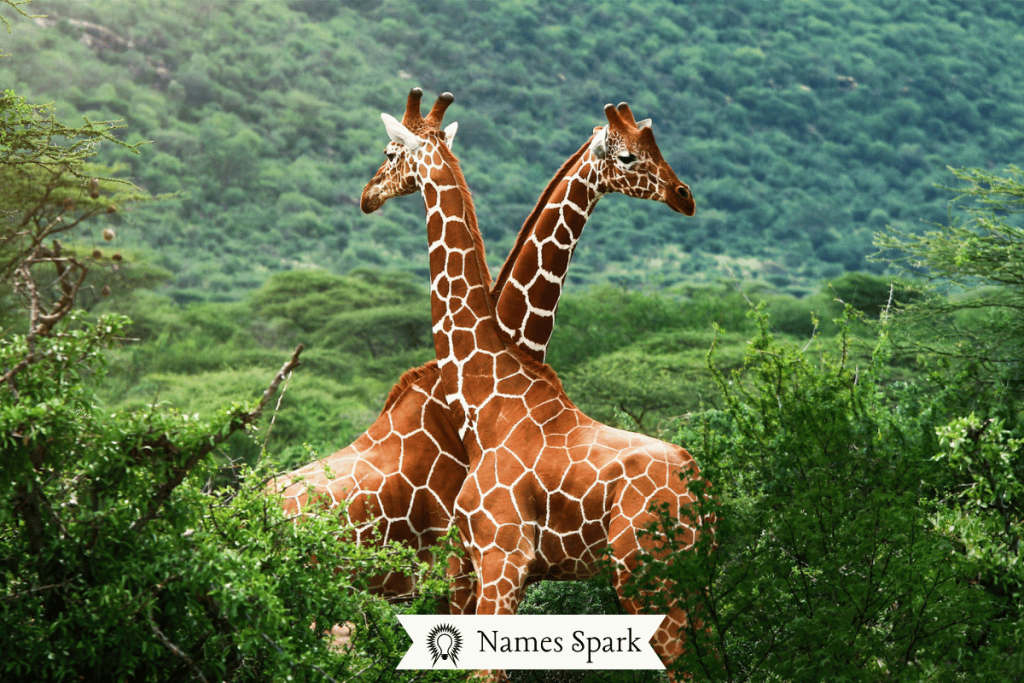 300+ Cool & Catchy Leopard Names With Meanings