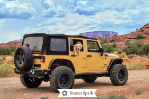 250+ Cool & Catchy Jeep Names For Your Beast | Names Spark