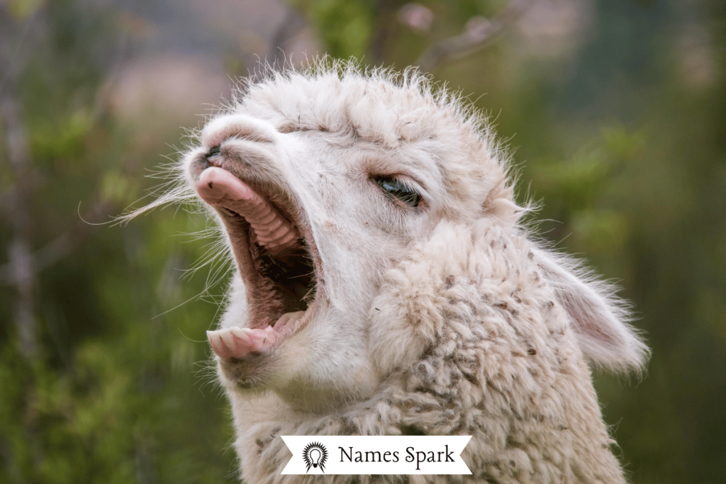 280 Cute And Funny Seagull Names With Meaning