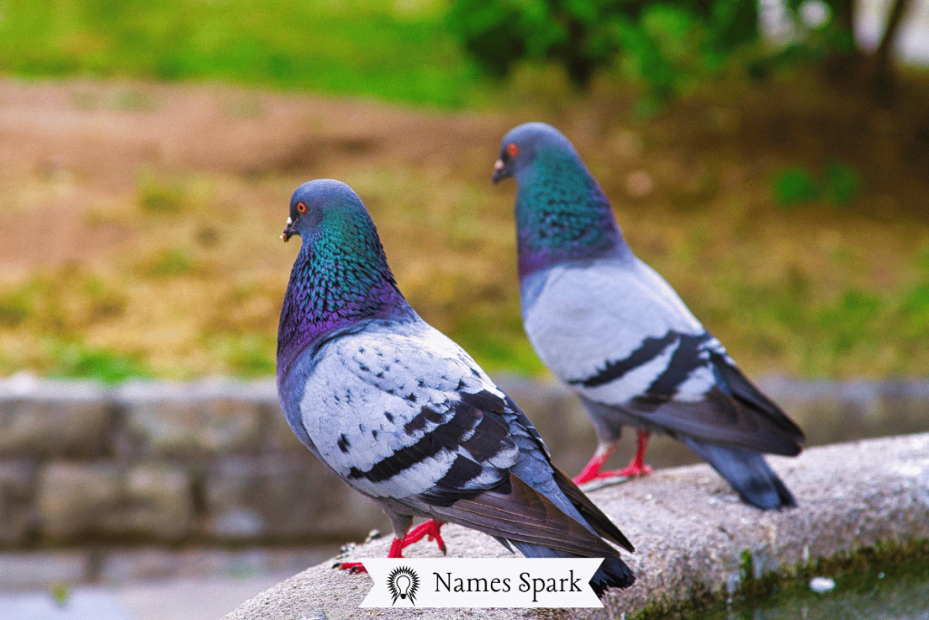 280+ Cool And Catchy Wolf Names With Meaning